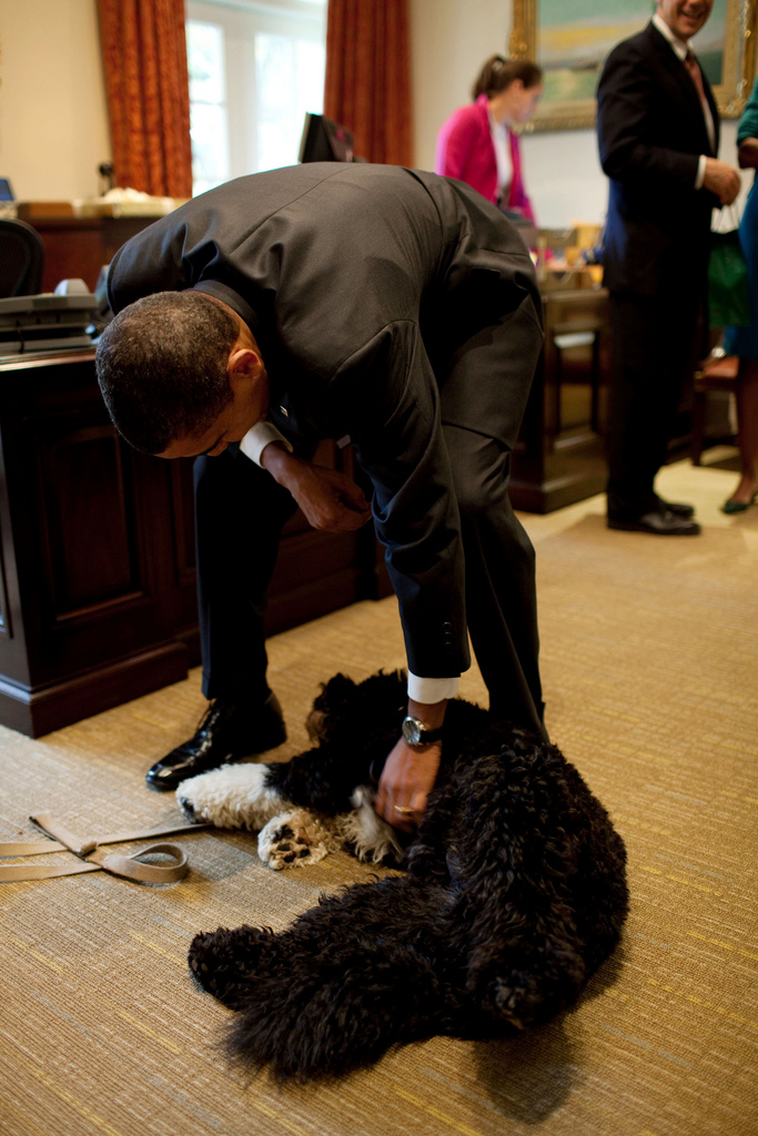 Bo & Sunny | Barack Obama Presidential Library